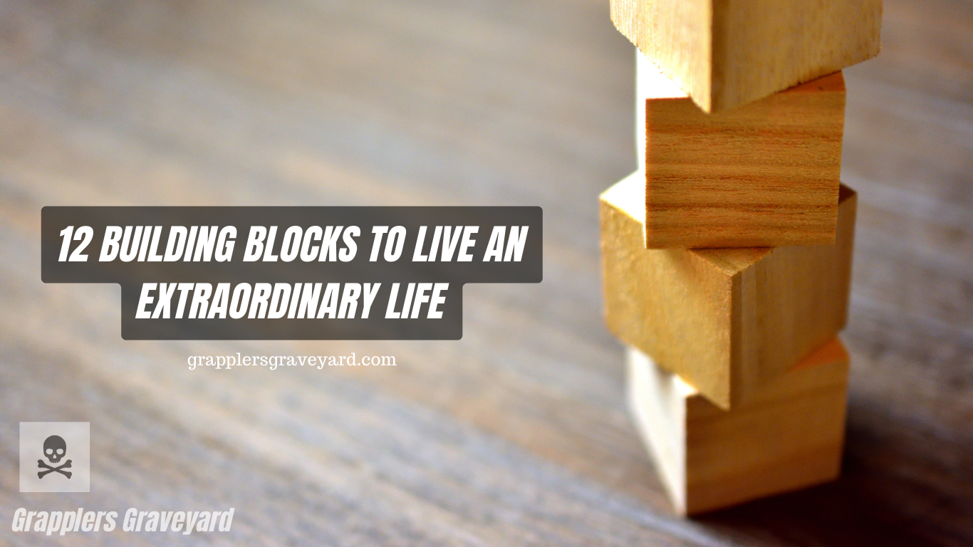 12 Principles to Create an Extraordinary Life - Grapplers Graveyard