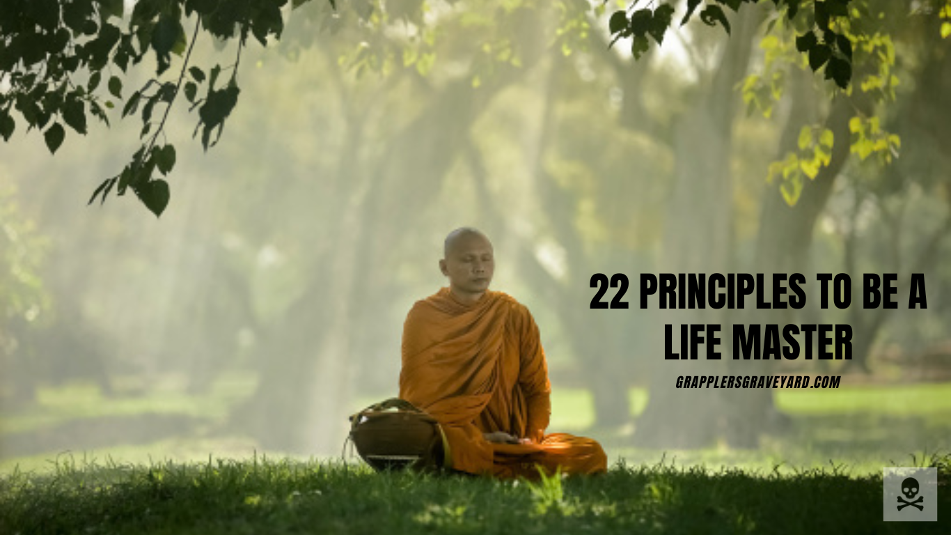 22 Principles to be a Life Master - Grapplers Graveyard