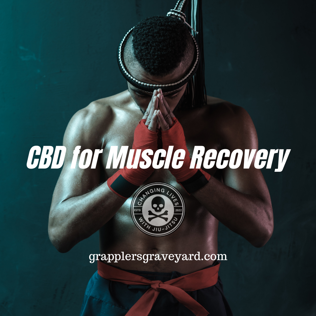 How Does CBD Help Muscle Recovery? - Grapplers Graveyard